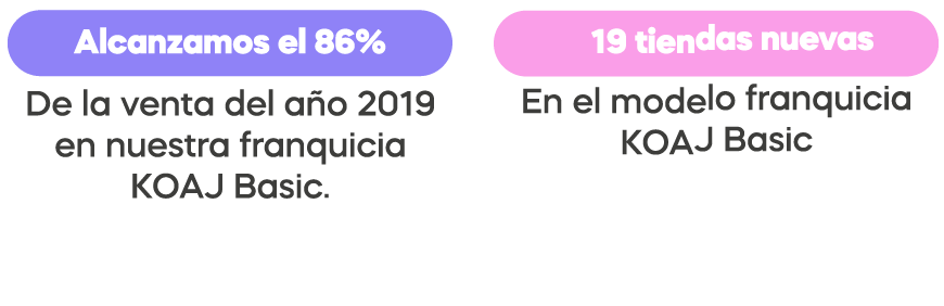 Informe Integrado de Gestión Sostenible 2020 - KOAJ | Permoda