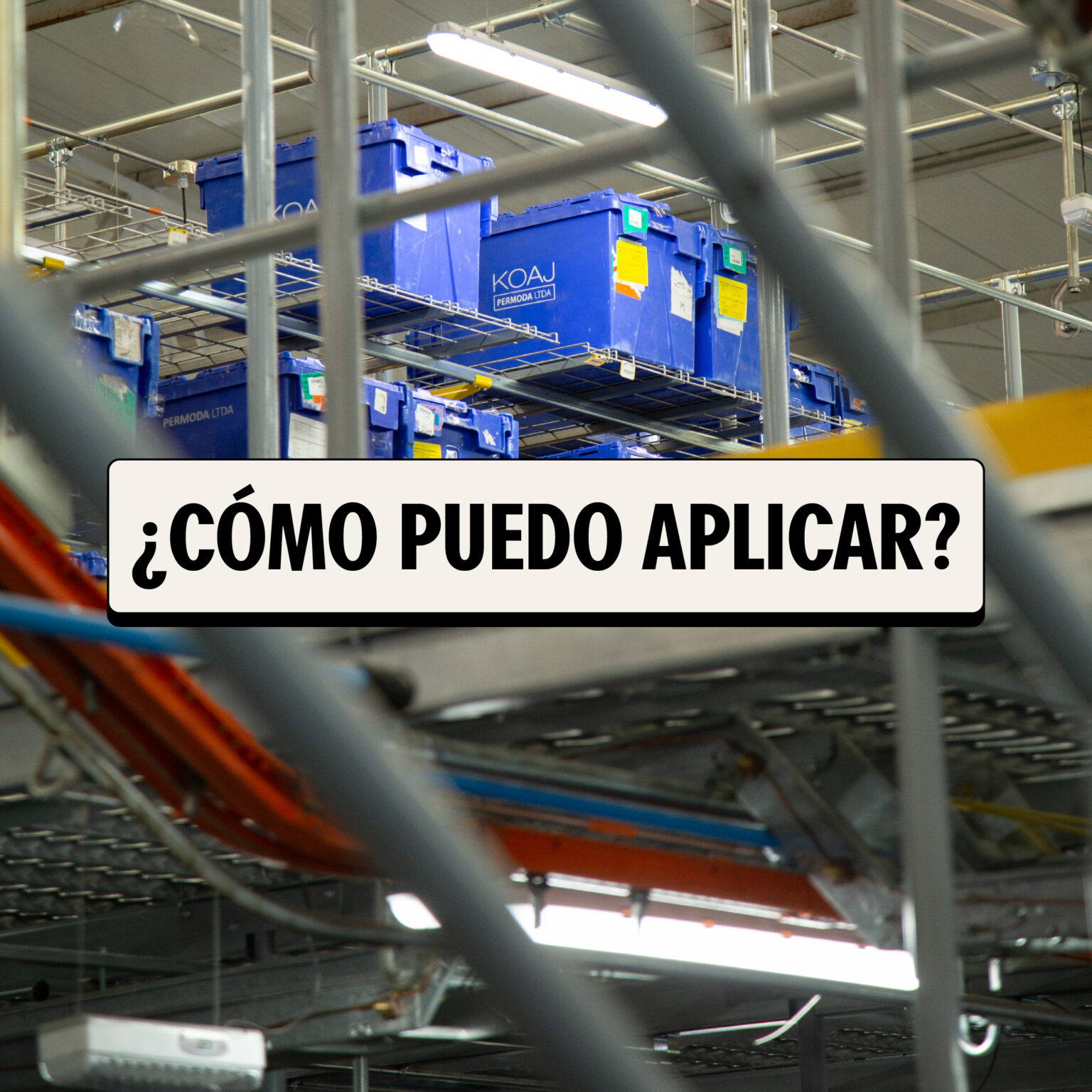 KOAJ Jobs 2024 - Logística - KOAJ | Permoda